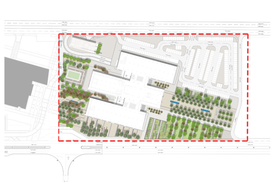 Qatar University College of Medicine & Health Sciences – World ...