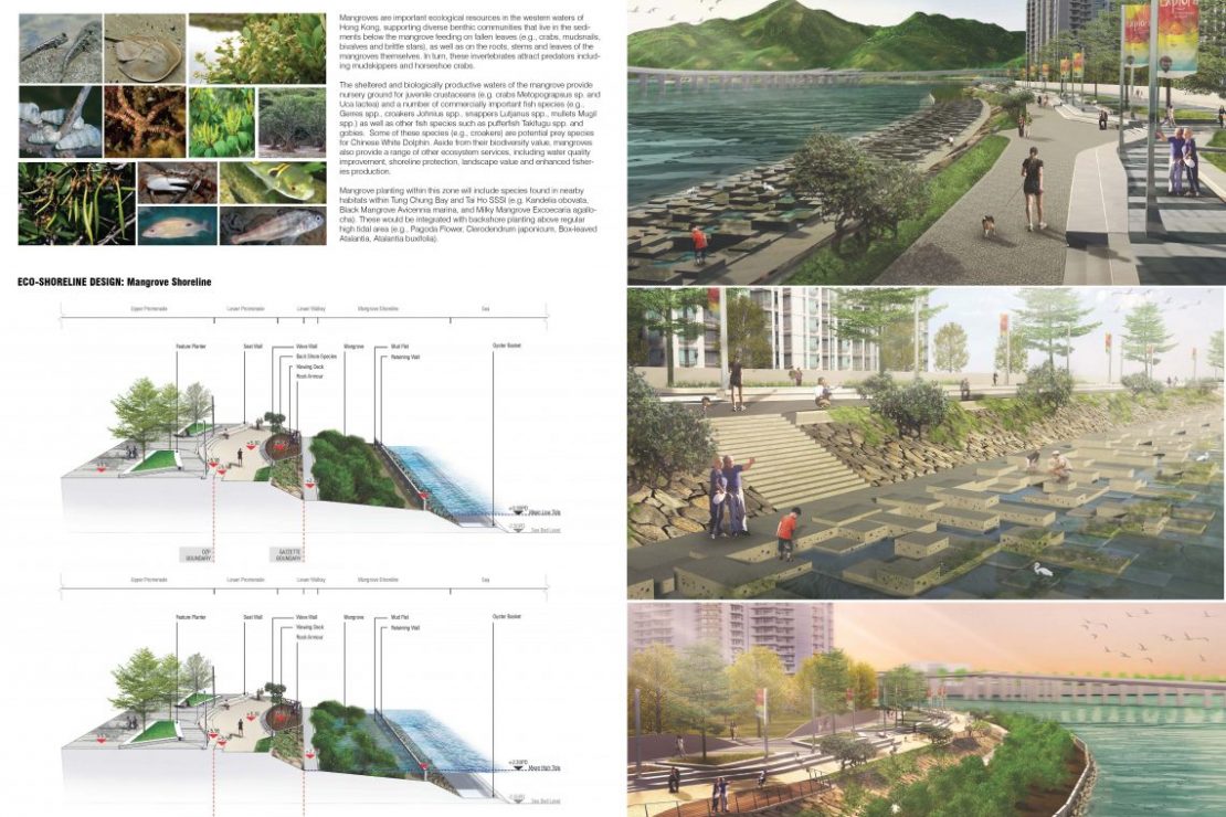 Eco-Shoreline Design – World Buildings Directory | Architecture Search ...