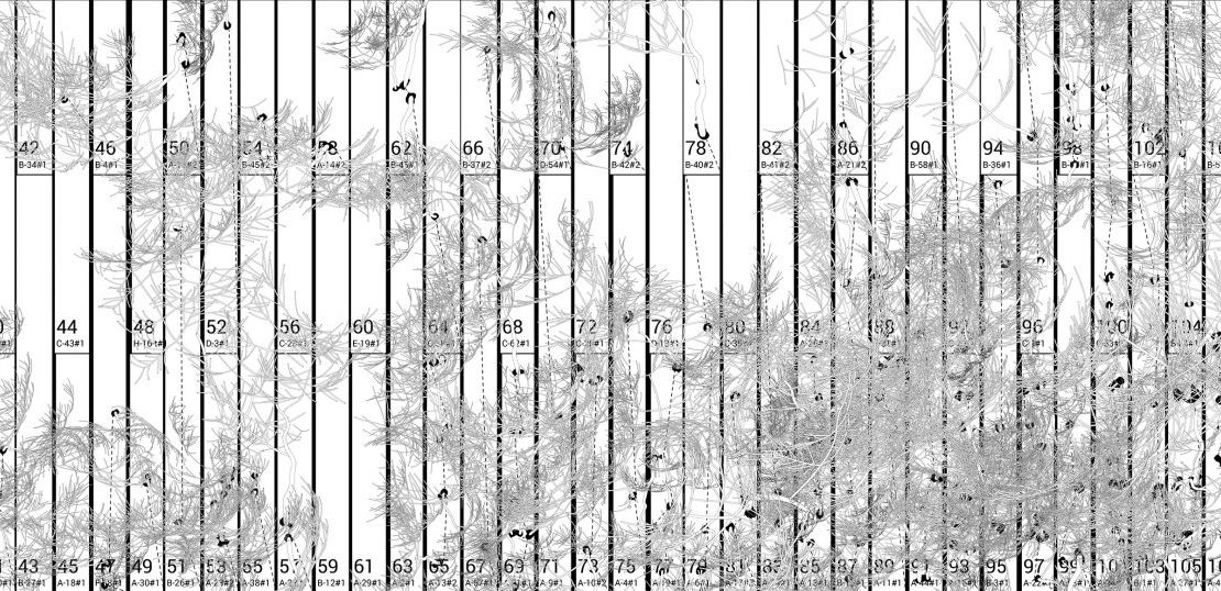 Embodied Computation Lab - World Buildings Directory | Architecture ...