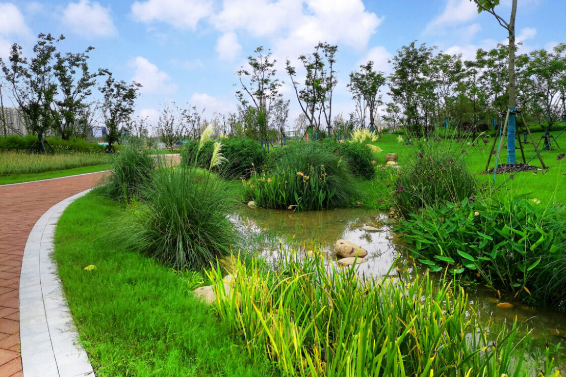 The Overall Design of Starry Sky Sponge Park in Shanghai - World ...