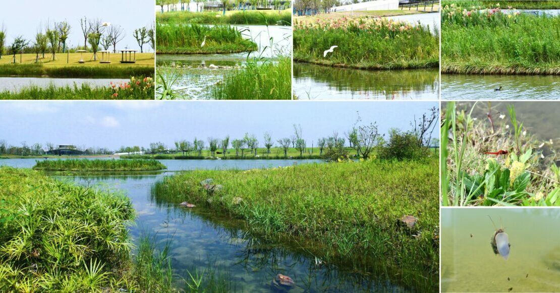 The Overall Design of Starry Sky Sponge Park in Shanghai - World ...